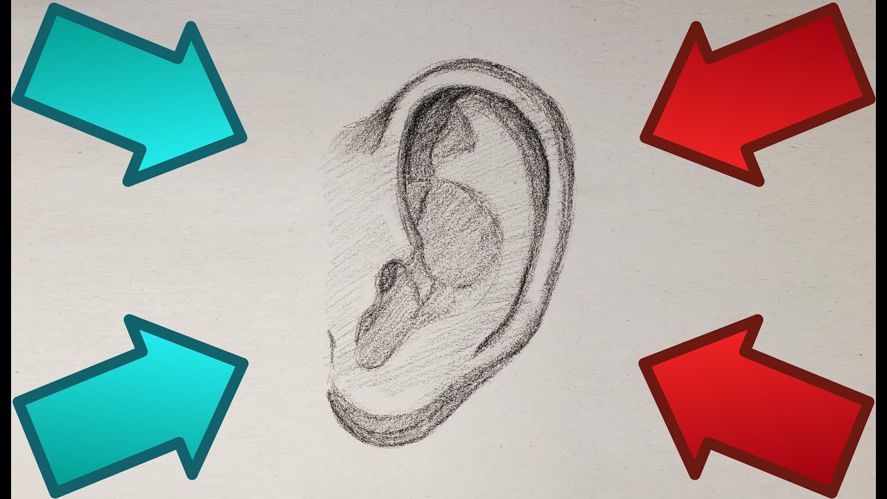 Cómo DIBUJAR OREJAS REALISTAS a lápiz 👂 Curso de dibujo online ️ ...