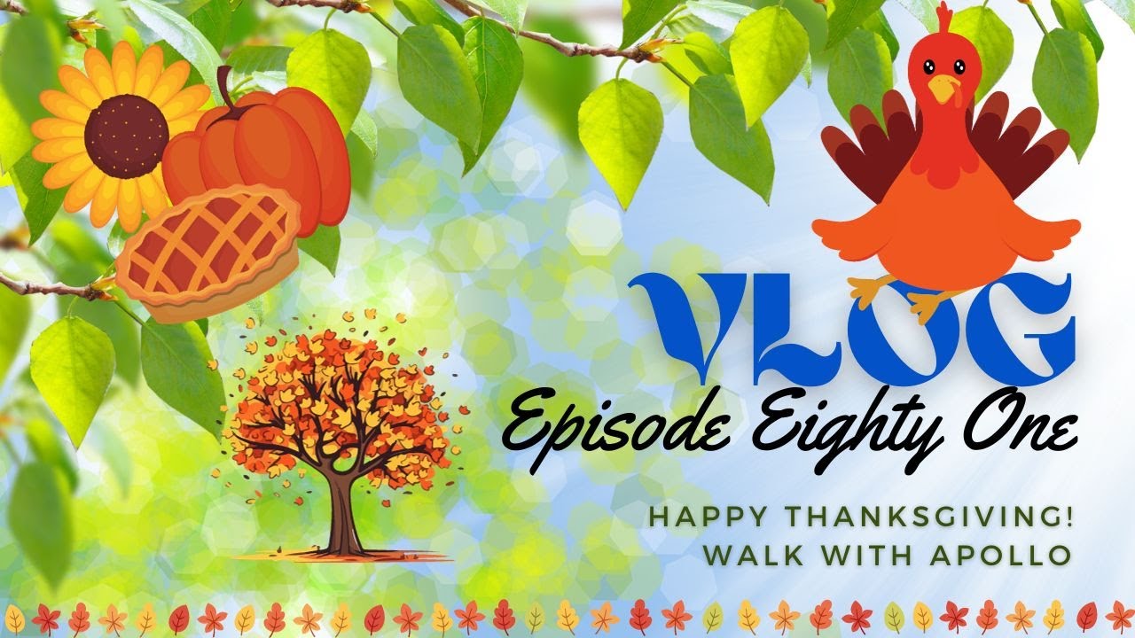 Vlog: Episode Eighty One - Happy Thanksgiving! #diamondpainting #crafting - YouTube