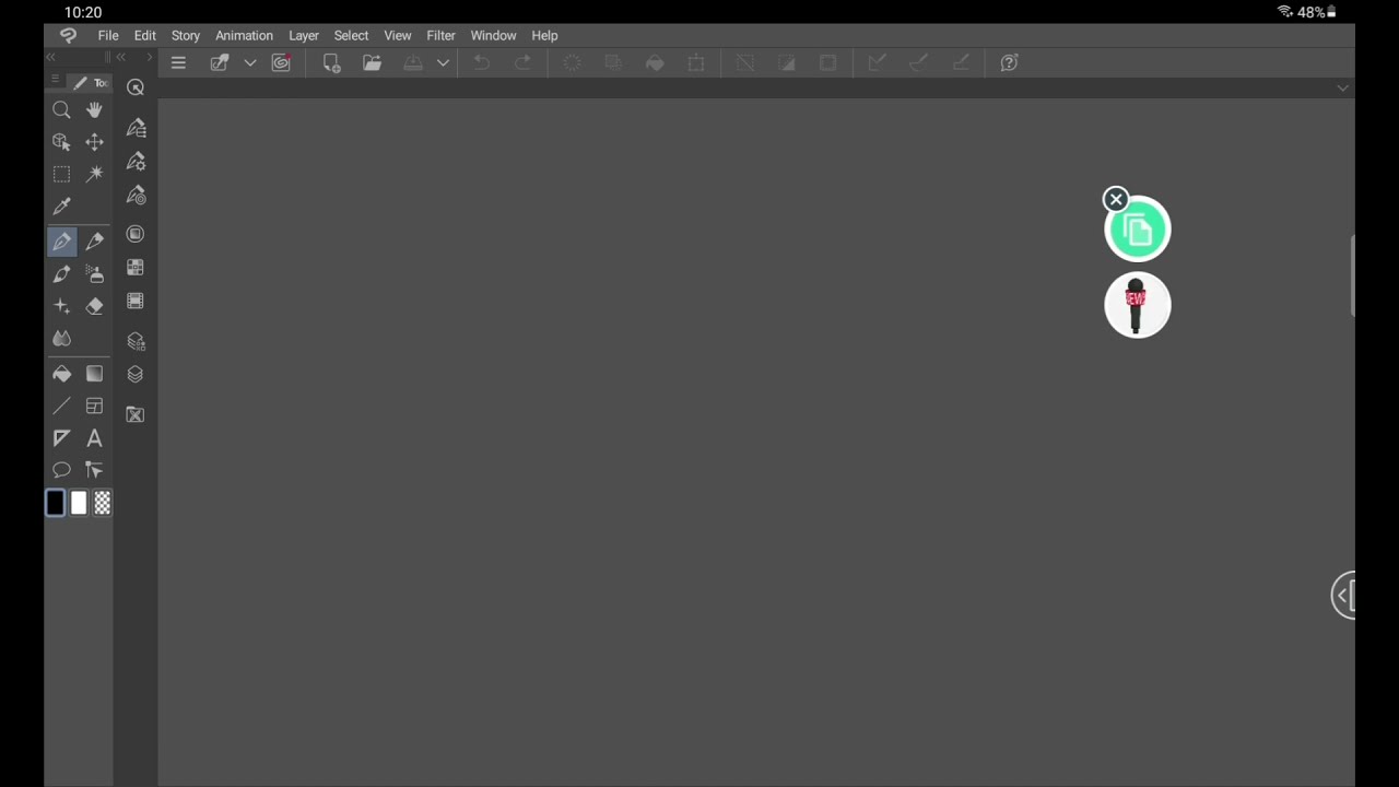 Private Layer How To Hide Reference Photo When Recording Timelapse In Clip Studio Paint private-layer-how-to-hide-reference-photo-when-recording-timelapse-in-clip-studio-paint