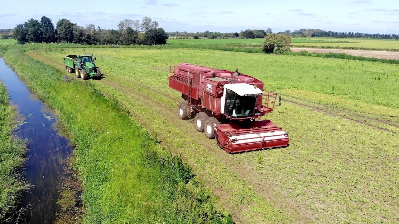 PMC 979-CT Pea Viner - YouTube