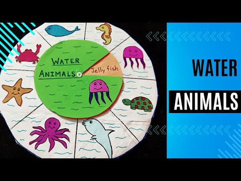 Water Animals TLM for kids || Sea World || Science Working Model for ...