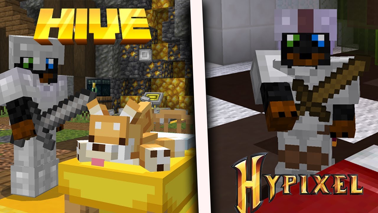HIVE Bedwars Player takes on HYPIXEL Bedwars! - YouTube