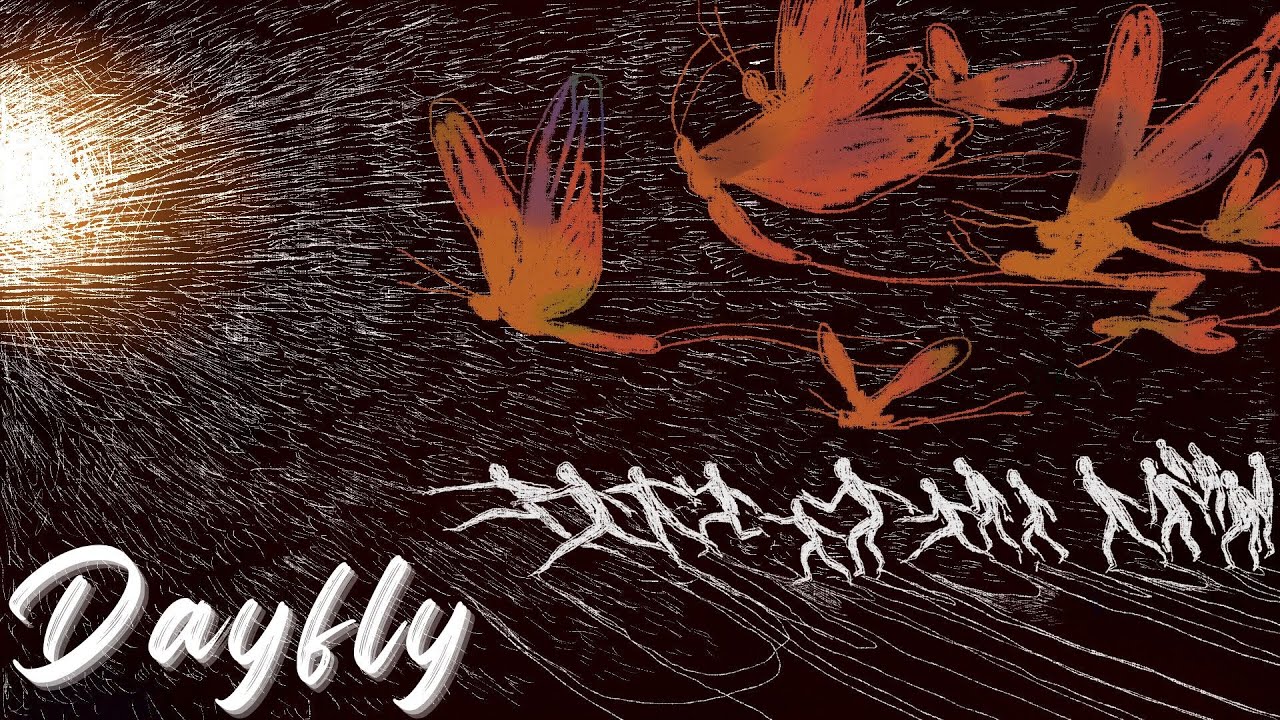 Dayfly - Indie-Anifest 2021: Asia Road Award - Communication University ...