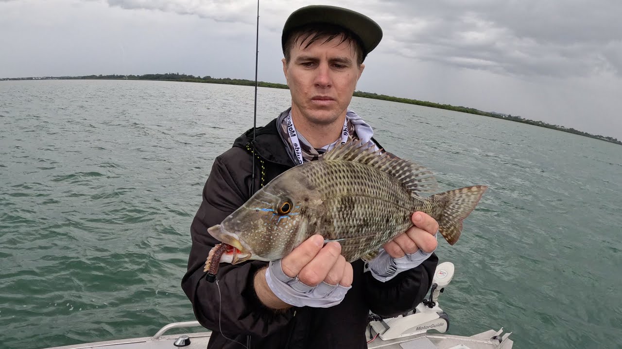 Shallow Water Grass Emperor + Good Bycatch - Moreton Bay Fishing with ...