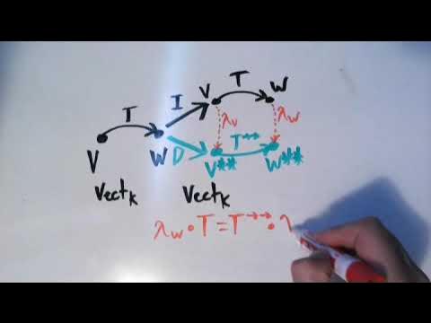 Natural Transformation from Vector Spaces to their Double-Dual spaces - YouTube