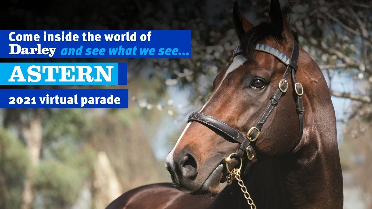 2021 Darley Australia Stallion Parade - Astern - YouTube