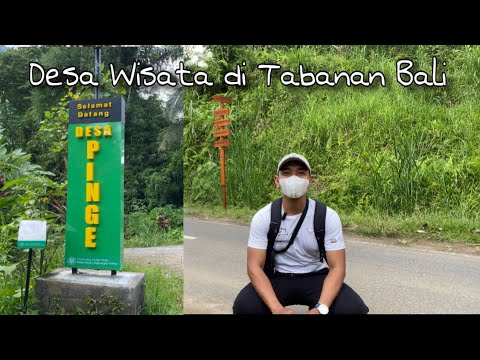 Desa Wisata Pinge|| Tabanan Bali - YouTube