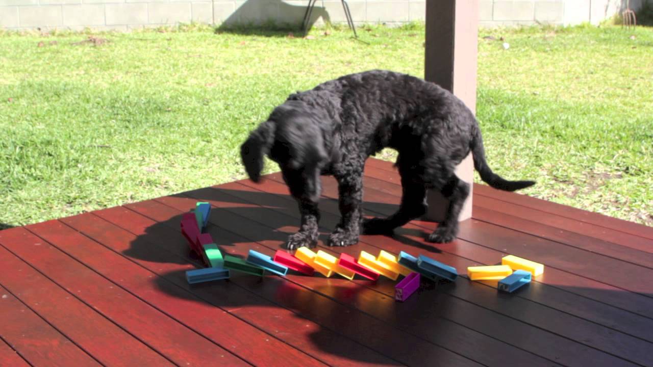 Cool Things in Normal, Slow Motion and Reverse - YouTube