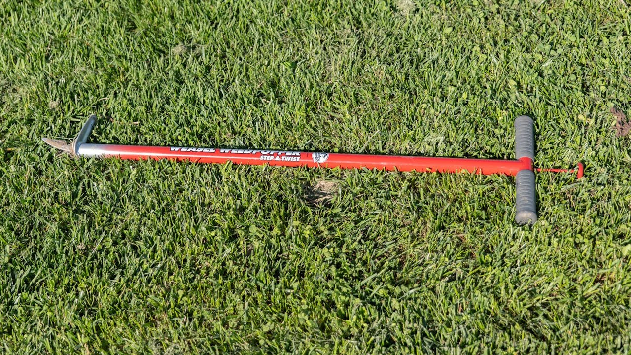Garden Weasel Weasel WeedPopper Review Standing Weed Puller - YouTube