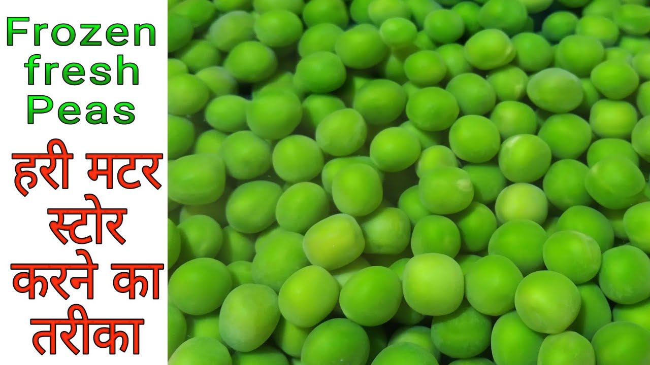 ताजी हरी मटर को कैसे स्टोर करें | Frozen green peas | Safal Matar | how ...