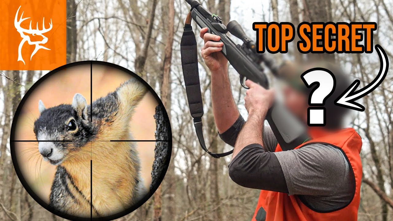 Youtube Air Rifle Hunting Squirrel at Nicholas Ramsey blog
