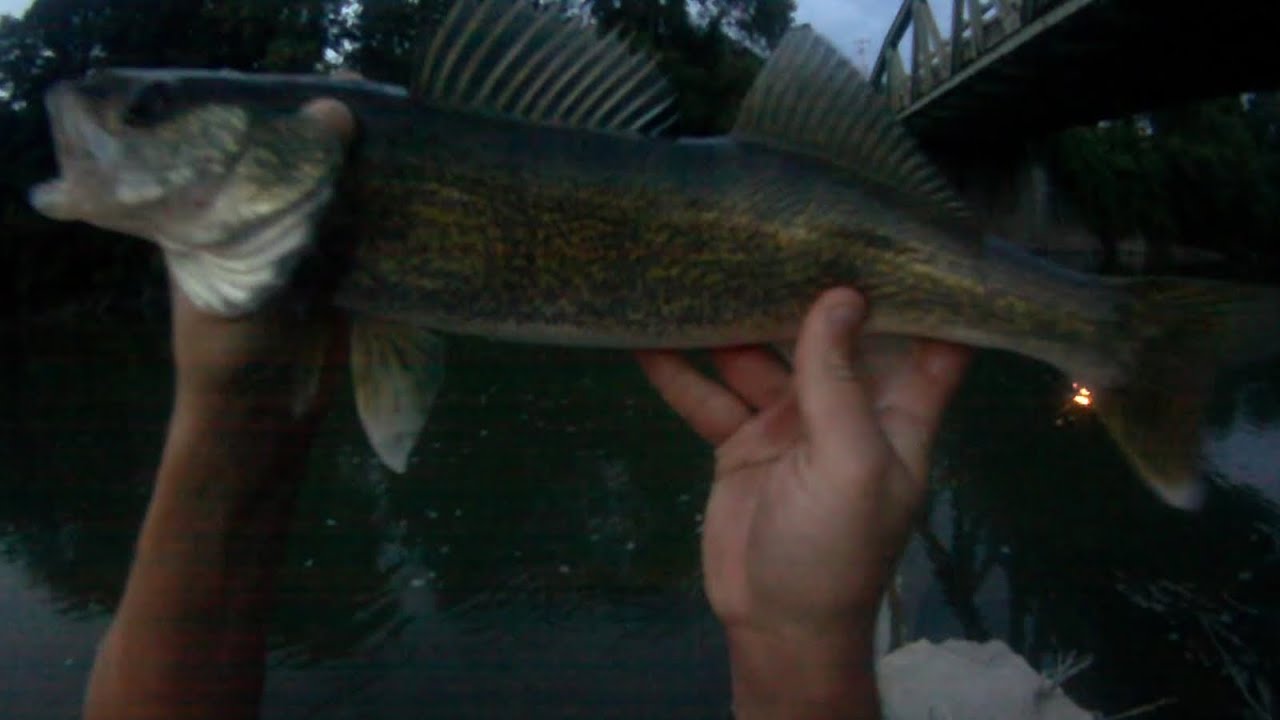 Lure Fishing #31 - Jigging and Burning Rebel Crawfish Crankbaits for ...