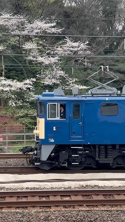 EF64 1030 2024年4月8日 - YouTube