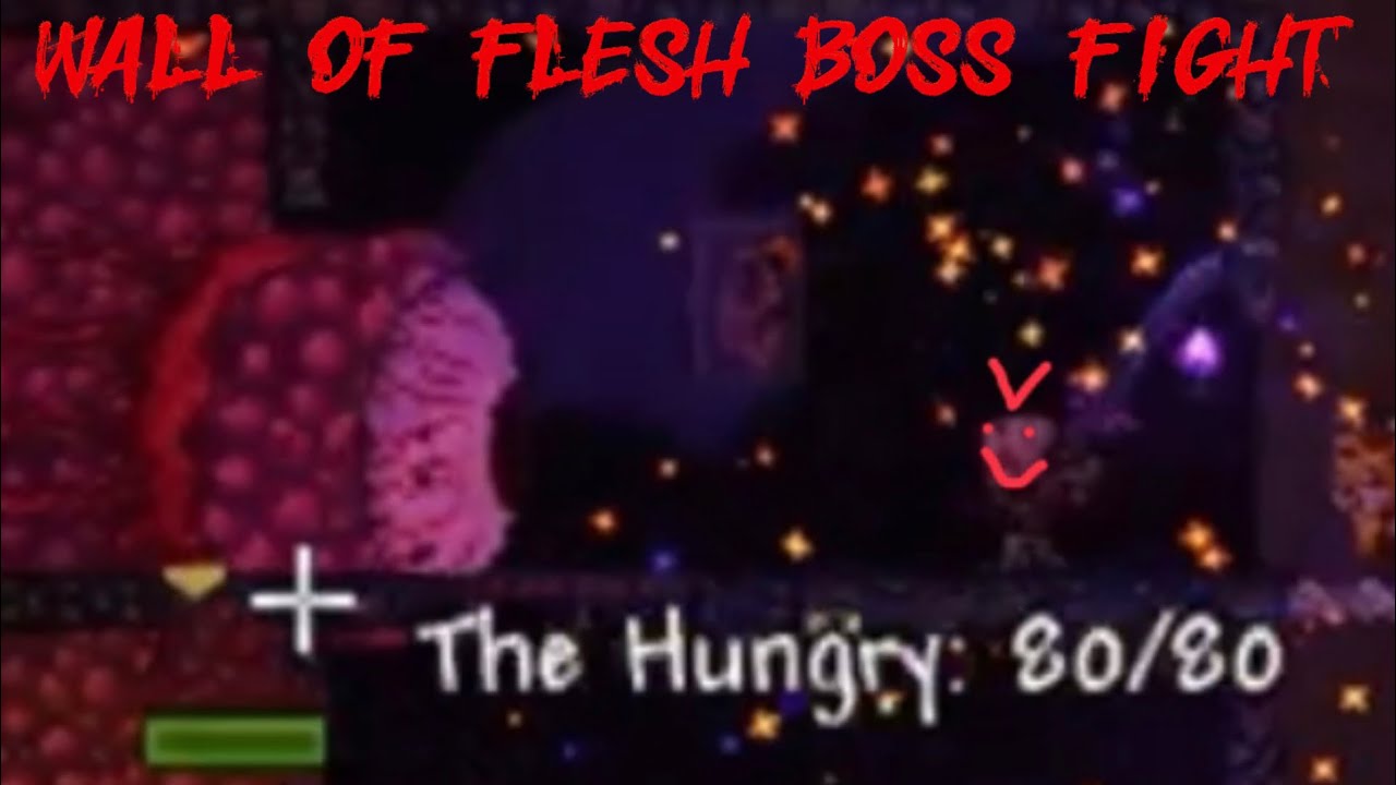Wall Of Flesh Boss Fight in Terraria Classic Mode - YouTube