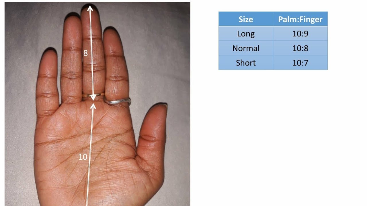 Palm Reading Tutorial - part 2-( which palm to read?) - YouTube