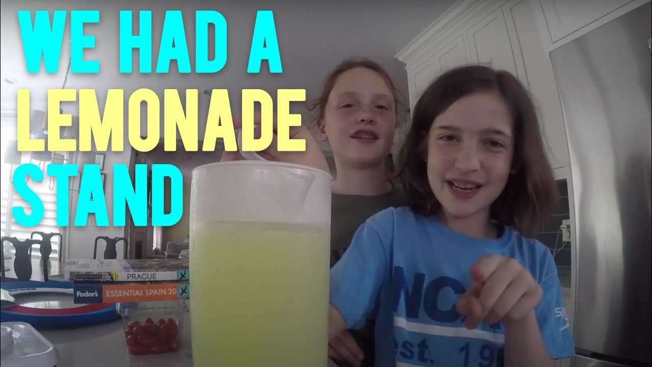 We Had A Lemonade Stand // Vlog 3 - YouTube