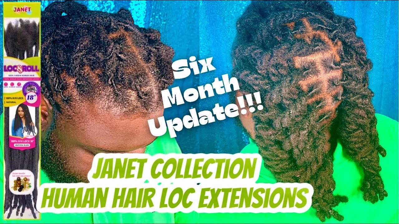 Human Hair Loc Extensions | 6 Month Update & Style | Janet Collection ...