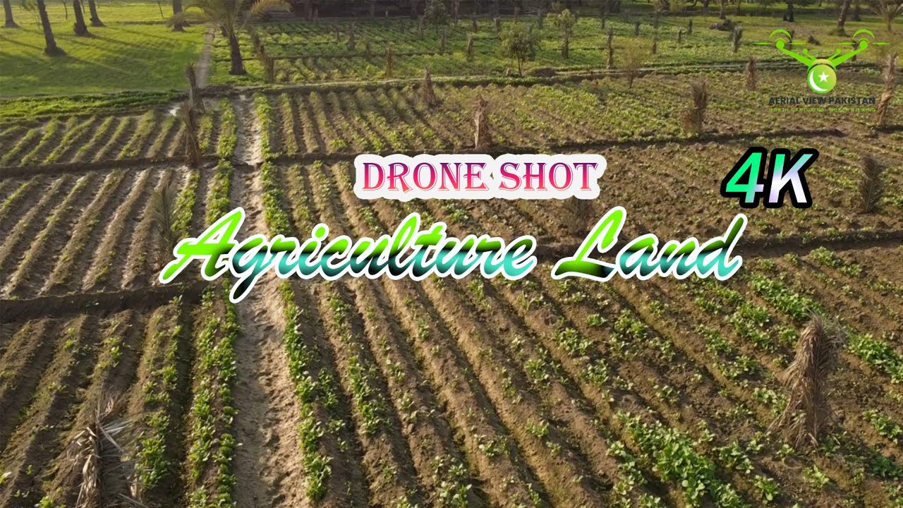 Crops Agriculture Land | Drone Shot - YouTube