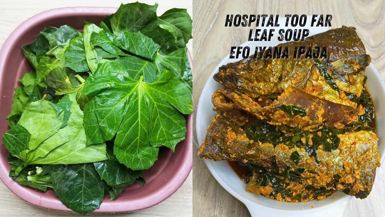HOW TO PREPARE HOSPITAL TOO FAR LEAVES WITH EGUSI | Efo Iyana Ipaja For WEIGHT LOSS - YouTube