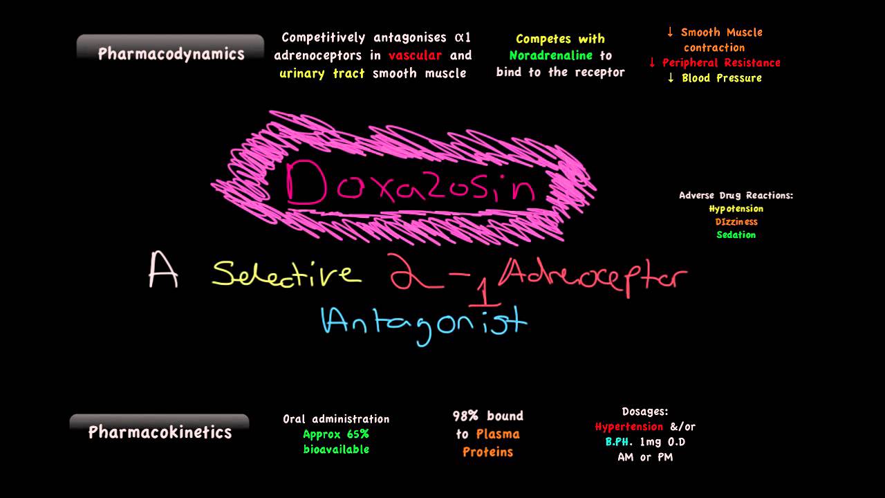 Video 4 Sympatholytic Pharmacology - YouTube