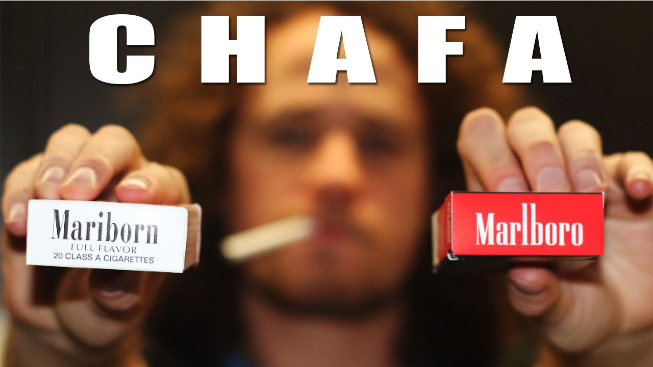 LÉXICO DE MÉXICO ....CHAFA! - YouTube