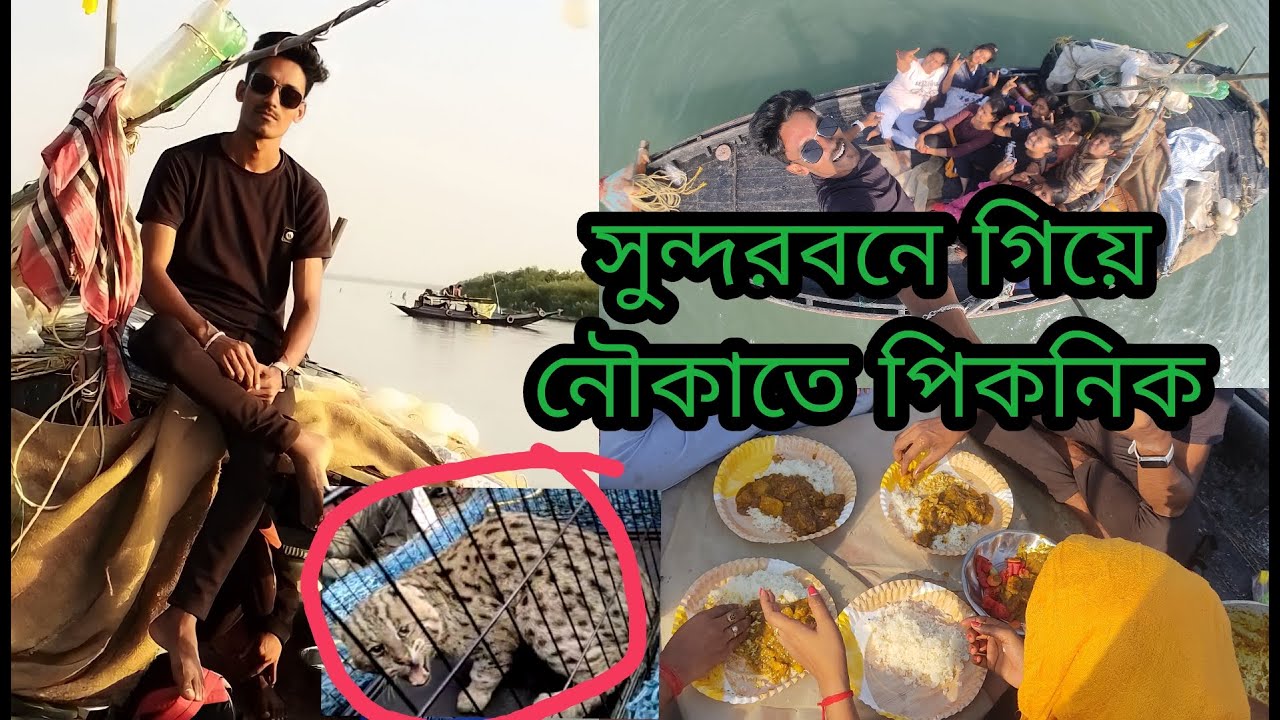 সুন্দরবনে গিয়ে নৌকাতে পিকনিক / sundarban cooking - YouTube