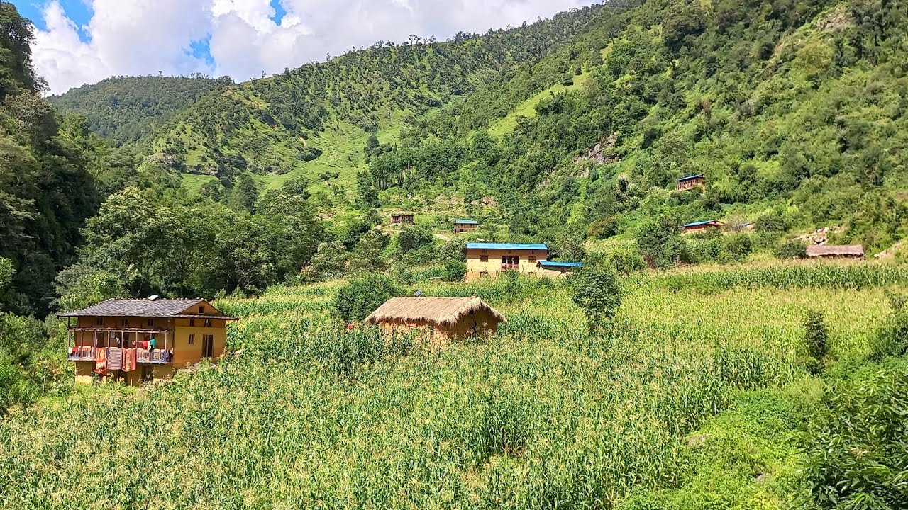 Organic Nepali Mountain Village Life in Nepal | Beautiful Rural Life of ...