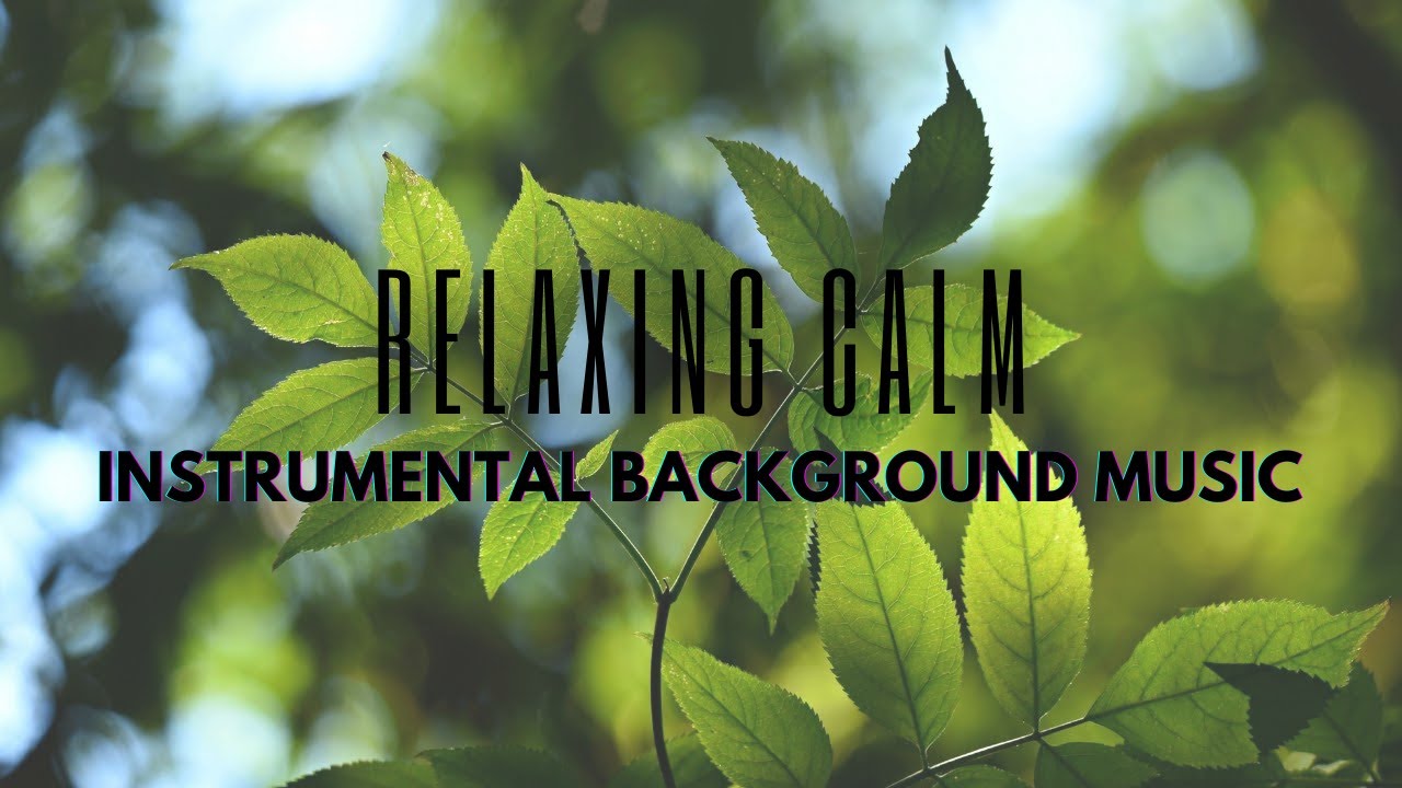 Beautiful Relaxing Instrumental Music • Ambient & Calm for Relaxation ...