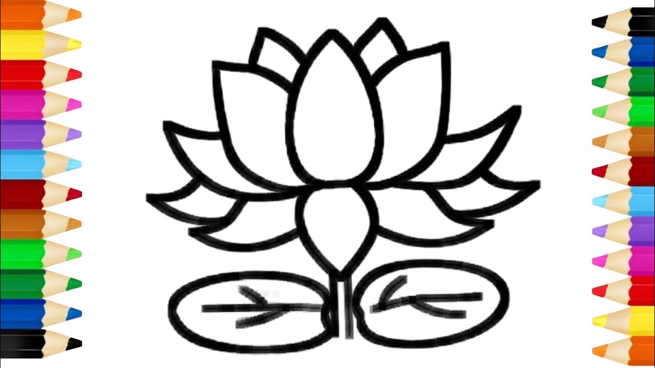 How to draw Lotus , Drawing, Colouring, Painting for toddlers||Easy ...