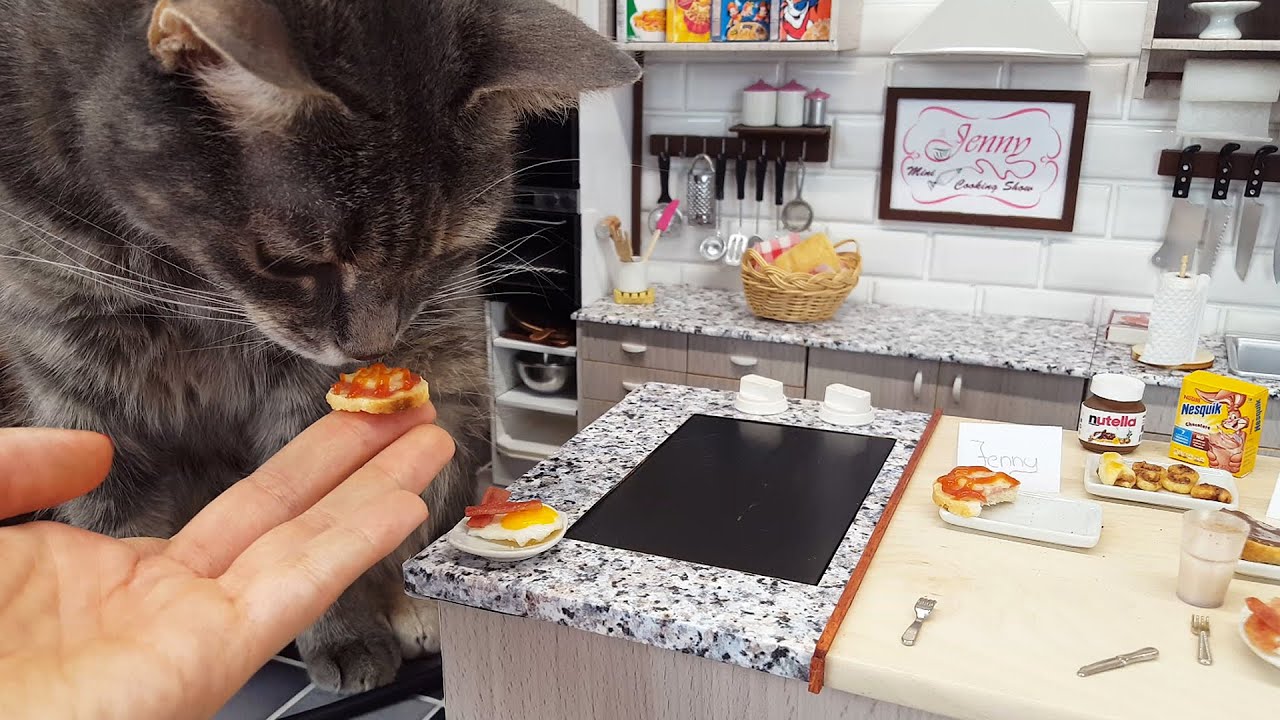 Real mini cooking with my cat :) / mini fried eggs with bacon / NUTELLA ...