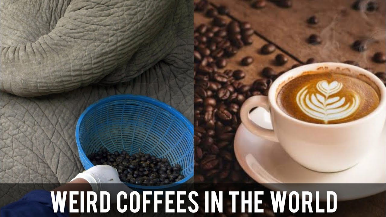 Coffee lovers should drink this😅☕. 3 weird coffees in the world. #facts ...