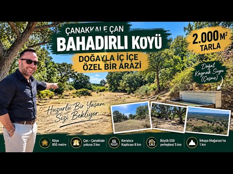 Çanakkale Çanda Orman Yanı Çeşme Başında 2 Dönüm Satılık Tarla 325.000₺