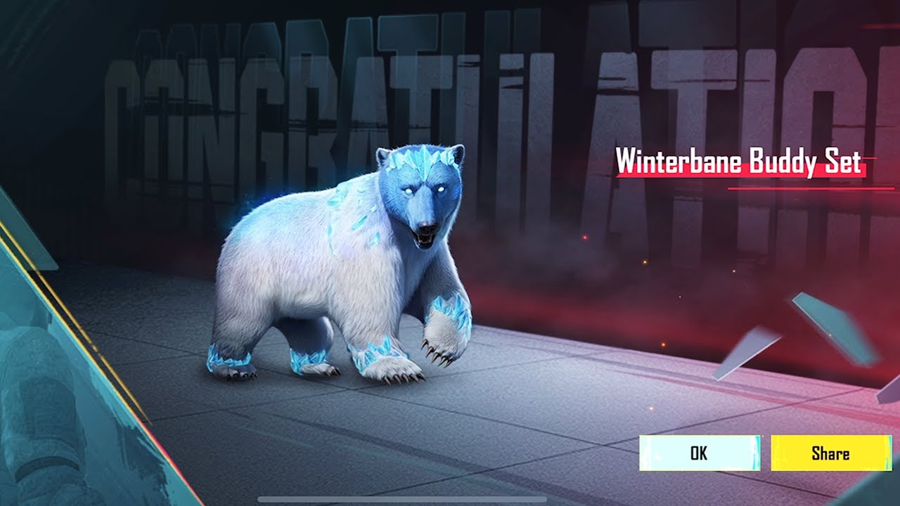 NEW Winterbane Buddy Set Crate Opening🥶BATTLEGROUNDS MOBILE INDIA - YouTube