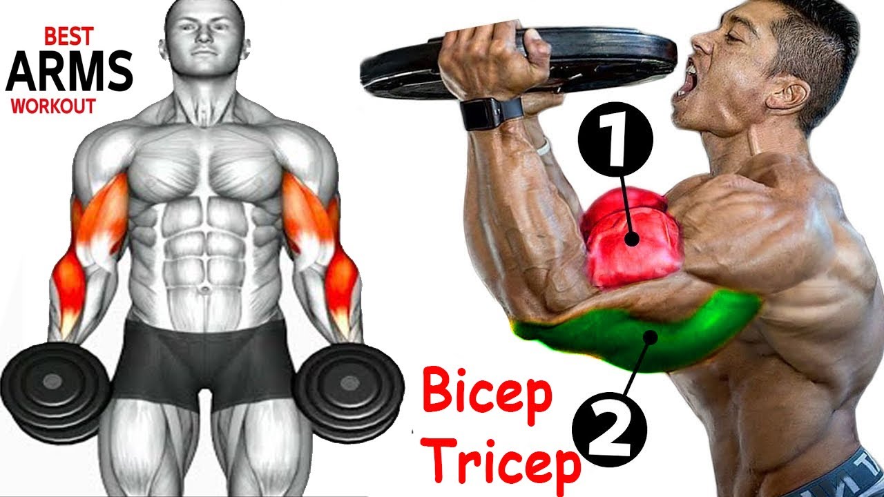 Arm Workout for Bigger, Stronger Arms: Killer Exercises - YouTube