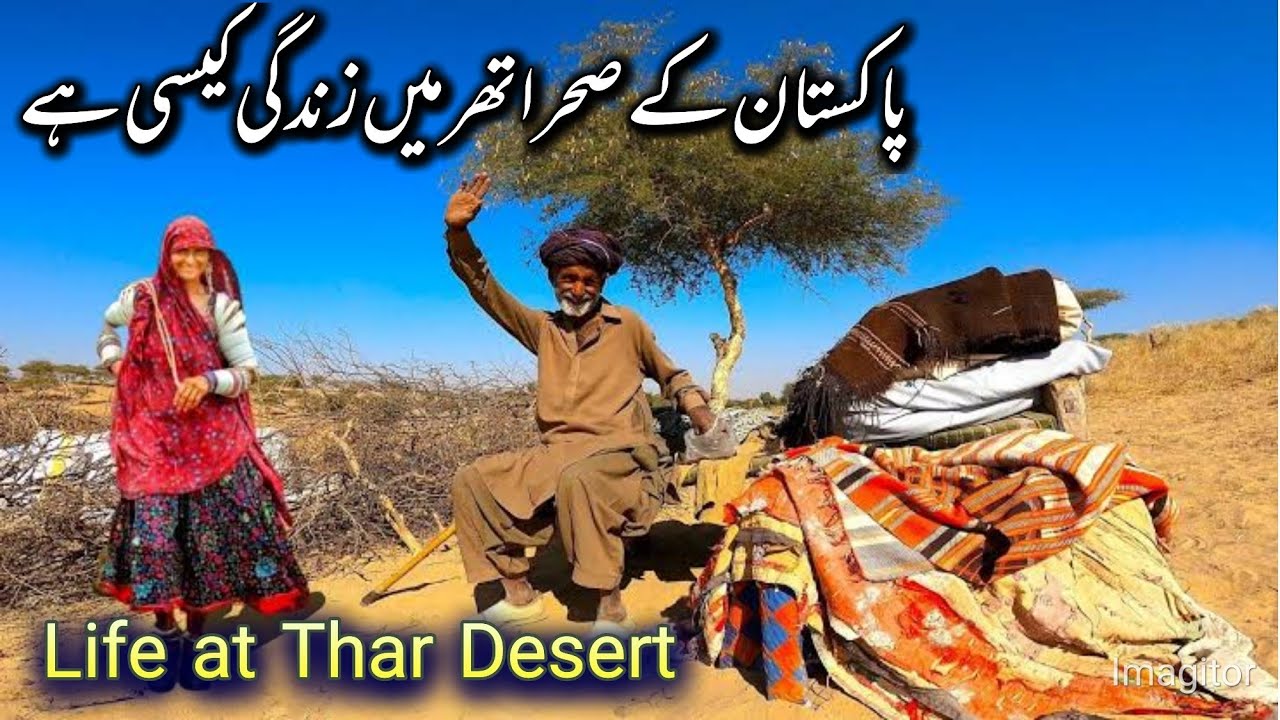 Life at Thar Desert| Pakistan City with 90% Hindu Population| Mithi ...