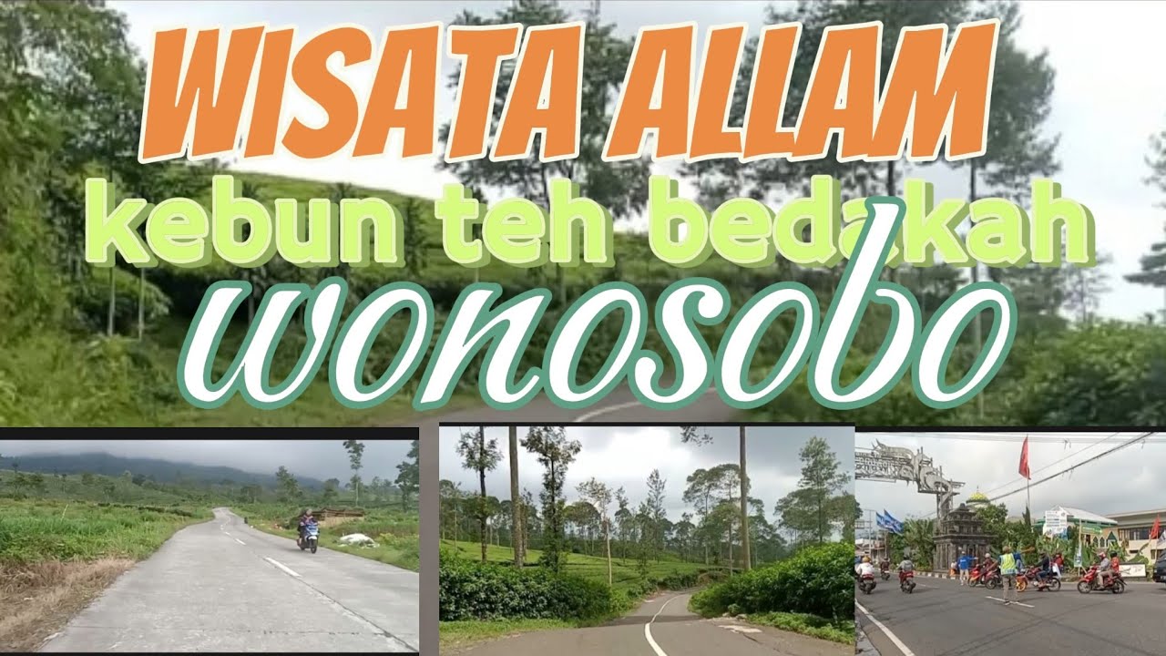 jln indah menuju wisata Allam kebun teh bedakah #wonosobo - YouTube