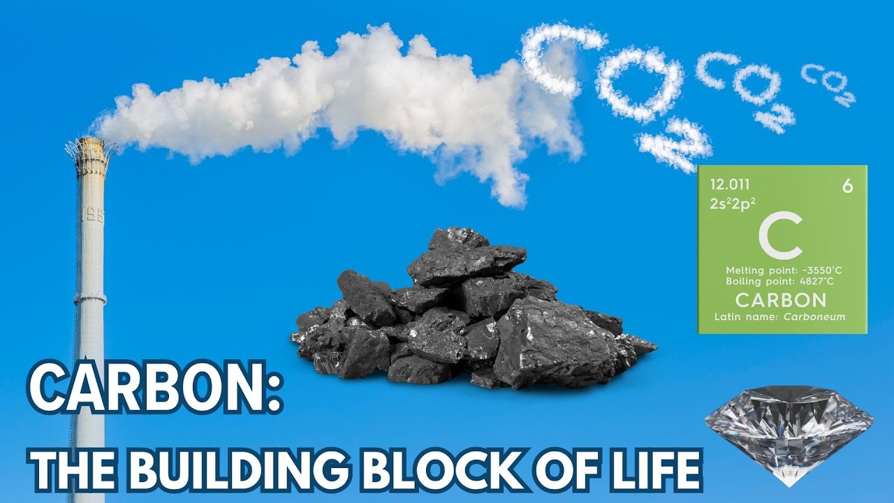 Carbon: The Building Block of Life - YouTube