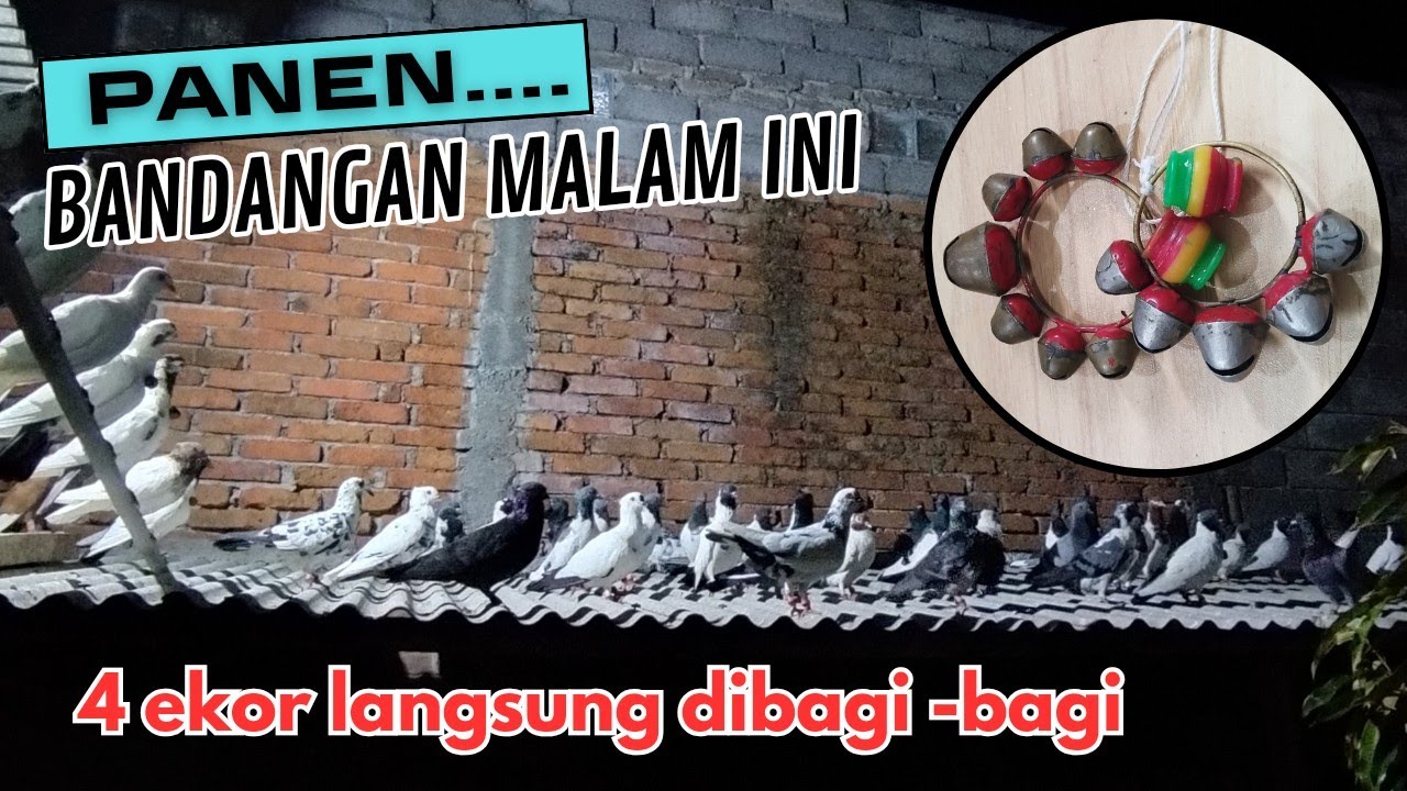 PANEN BANDANGAN SEPULANG ZIKIRAN - YouTube