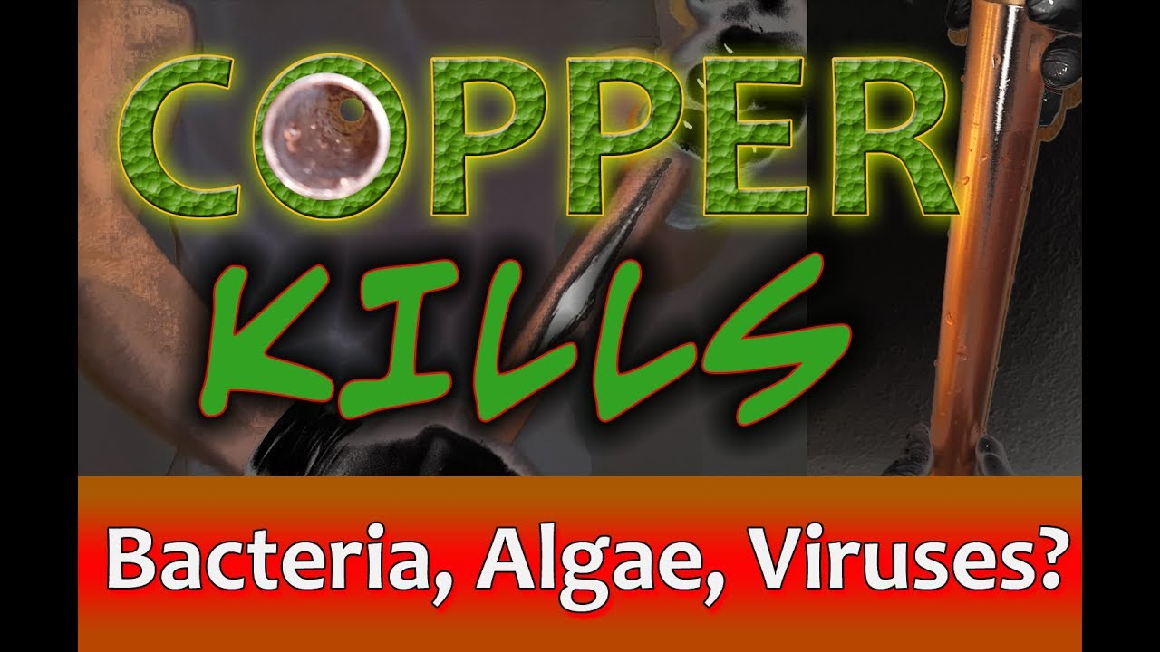 COPPER - A Powerful, Antimicrobial, Biocidal, Algae killer? Better than ...