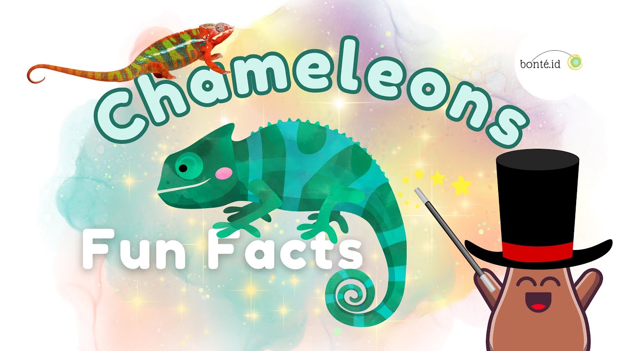 🦎Chameleon: Nature's Color-Change Masters | Fun Animal Facts for Kids ...