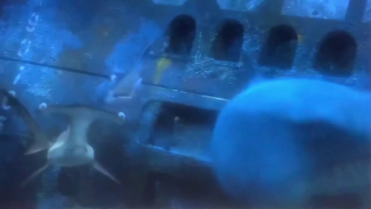 Finding Nemo mines explosions in Japanese - YouTube