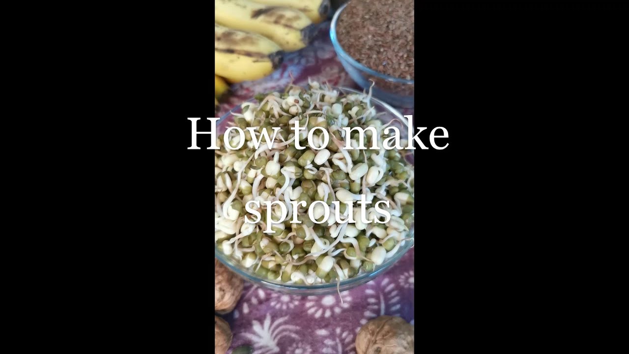 How To Make Sprouts - YouTube