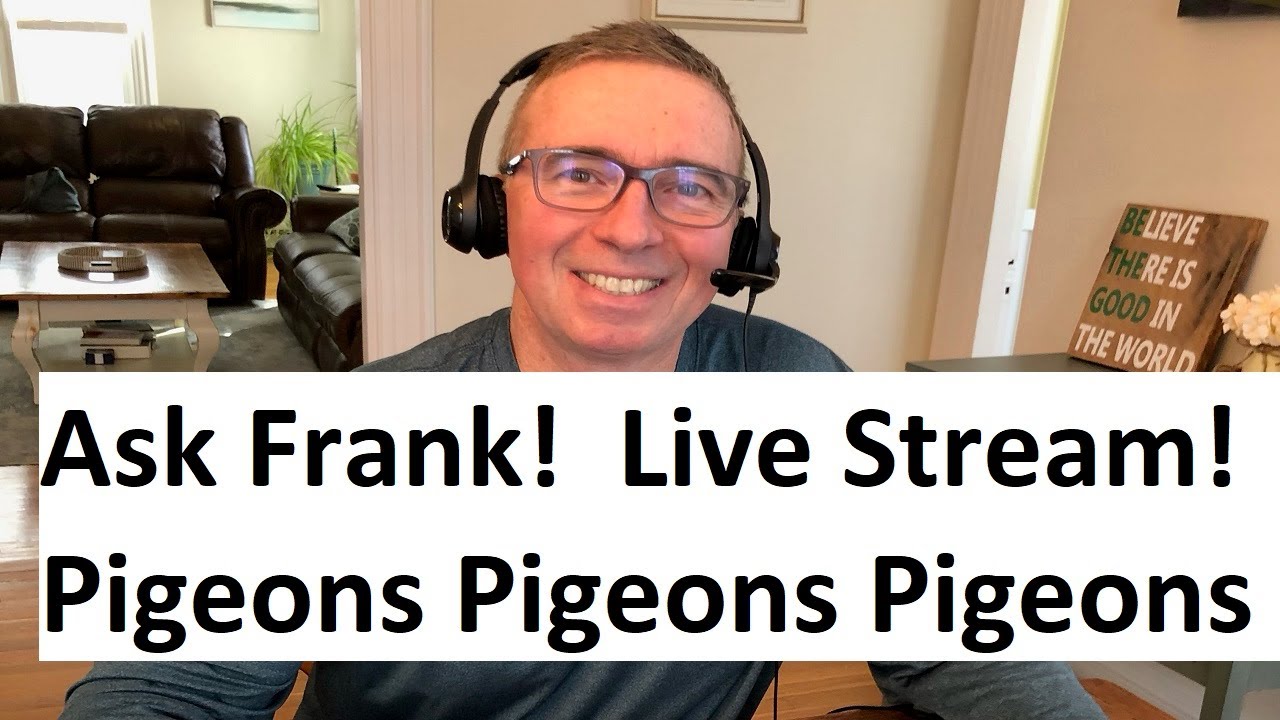Ask Frank McLaughlin Lofts Live Stream #9 -The Art of Racing Pigeons ...