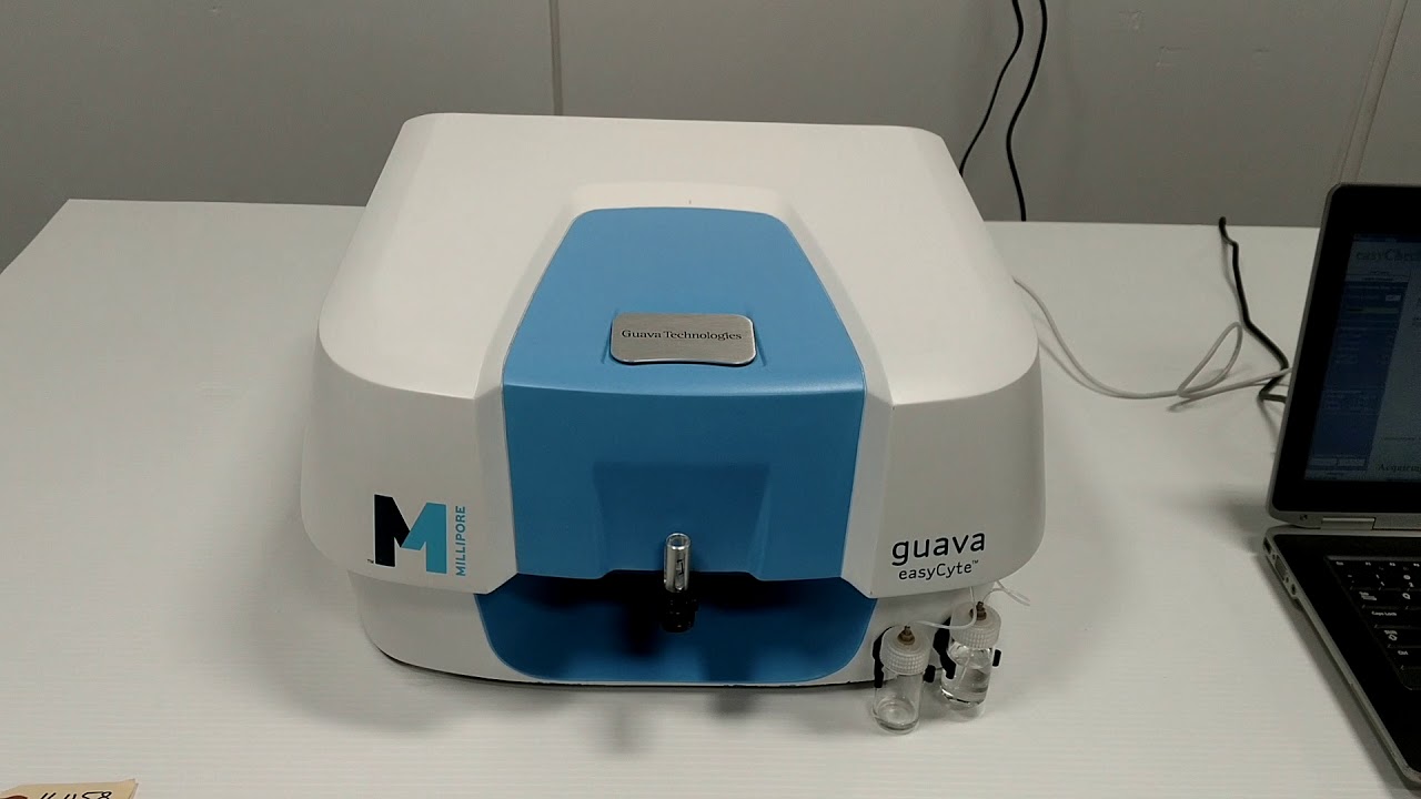 Merck Millipore Guava easyCyte 6-2L Flow Cytometer [BOSTONIND] - 16458 ...