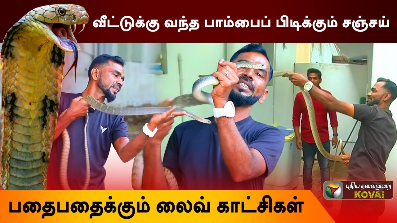 பாம்பு நம்மள கடிக்கணும்ன்னு வராது! - Live snake catching | Coimbatore ...