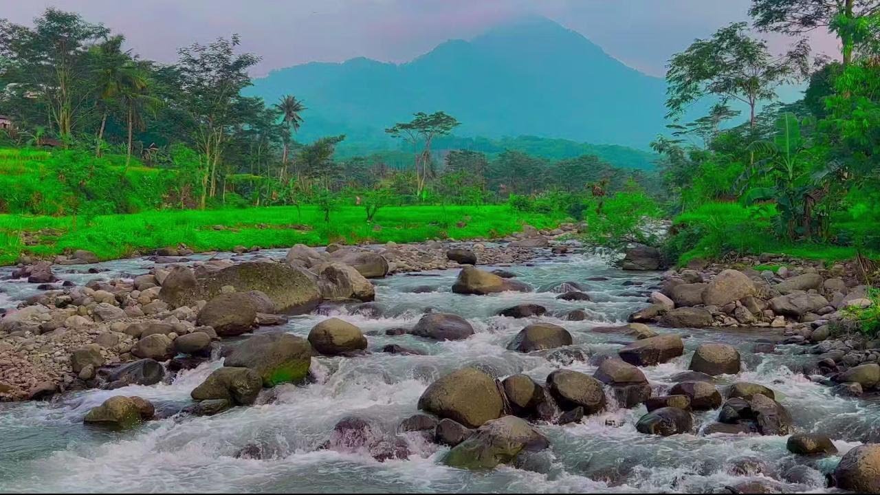 4K-HDR | Soft Stream Flow in Remote Wilderness for Calm Night Sleep ...