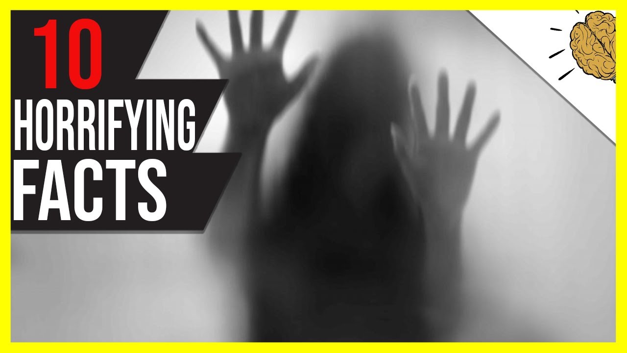 10 Horrifying Facts That I Really Suggest You Don't Read - YouTube