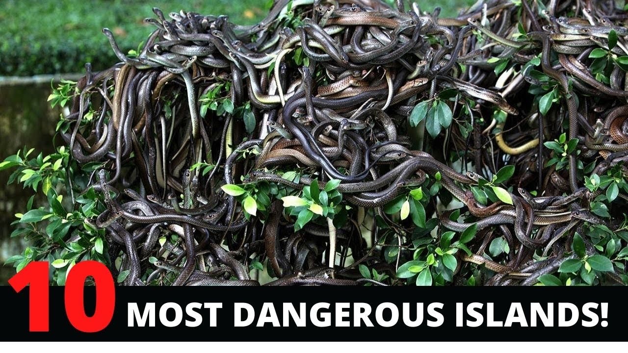 Top 10 Most Dangerous Islands in the World - Forbidden places that you ...
