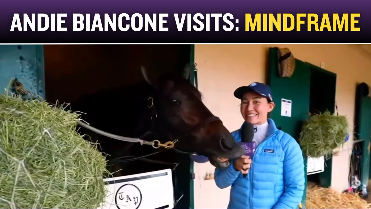 Breeders' Cup Classic Contender MINDFRAME Says Hi to Andie Biancone ...