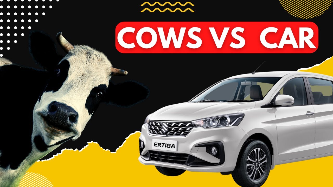 Car Vs Cow - Car Vs Animal Compilation #1😮 - YouTube